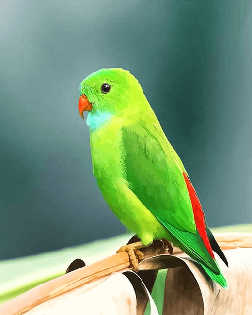 Beautiful Green Parrot - NEW Paint By Numbers - Numeral Paint