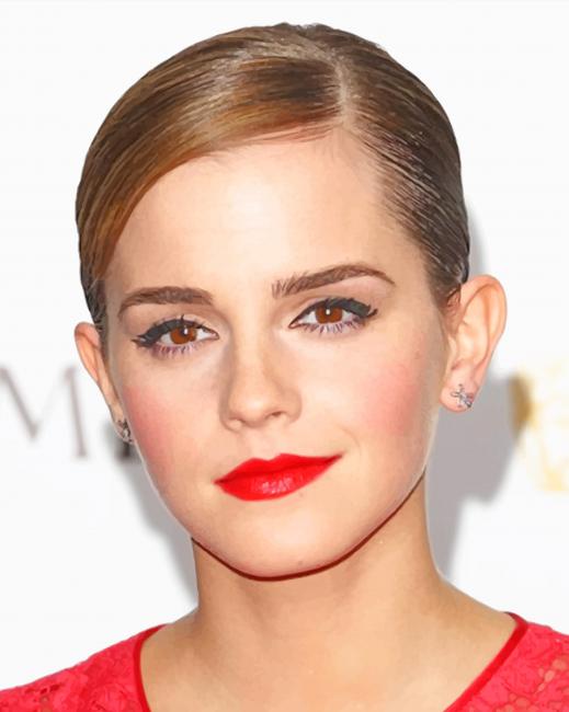 Classy Emma Watson NEW Paint By Numbers - Numeral Paint Kit
