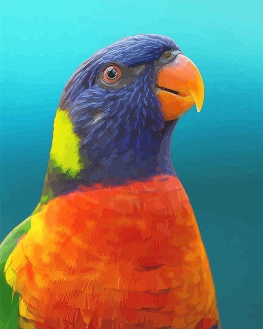 Colorful Parrot- NEW Paint By Numbers - Numeral Paint