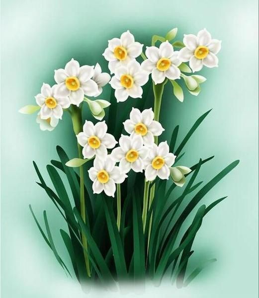 Daffodil Flowers Paint By Numbers - Numeral Paint Kit