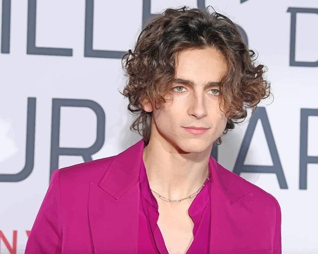 Handsome Chalamet Timothee - NEW Paint By Number - Numeral Paint