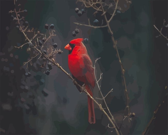 Red Cardinal Bird NEW Paint By Numbers - Numeral Paint Kit