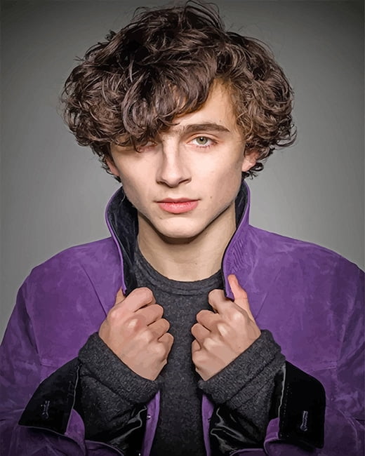Timothee Hal Chalamet NEW Paint By Numbers - Numeral Paint Kit