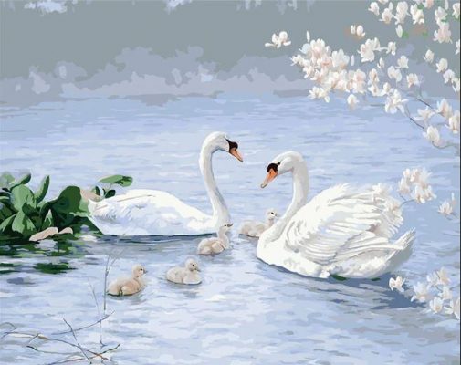 Swan Family Paint By Numbers - Numeral Paint Kit