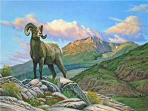 Bighorn Sheep Paint By Numbers - Numeral Paint Kit