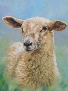 Cute Sheep Paint By Numbers - Numeral Paint Kit