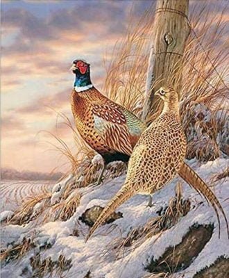 Quails In Snow Paint By Numbers - Numeral Paint Kit