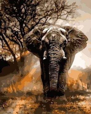 African Elephant Paint By Numbers - Numeral Paint Kit