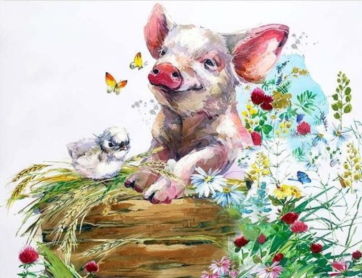 Pig And Bird Paint By Numbers - Numeral Paint Kit