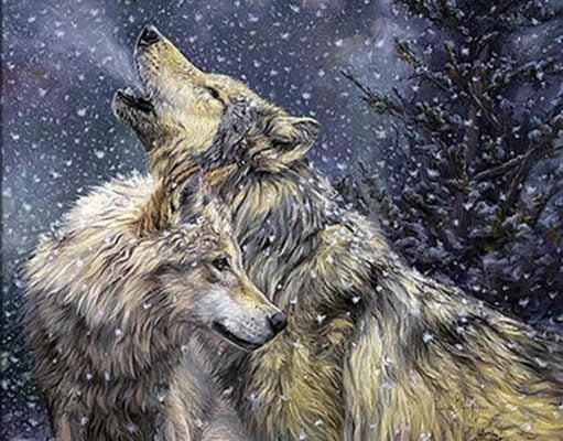 Winter Wolves Paint By Numbers - Numeral Paint Kit
