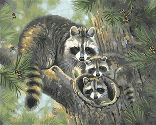 Raccoon Family Paint By Numbers - Numeral Paint Kit
