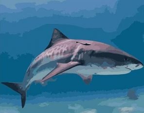 Shark Underwater Paint By Numbers - Numeral Paint Kit