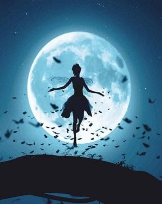 Moonlight Fairy Paint By Numbers - Numeral Paint Kit