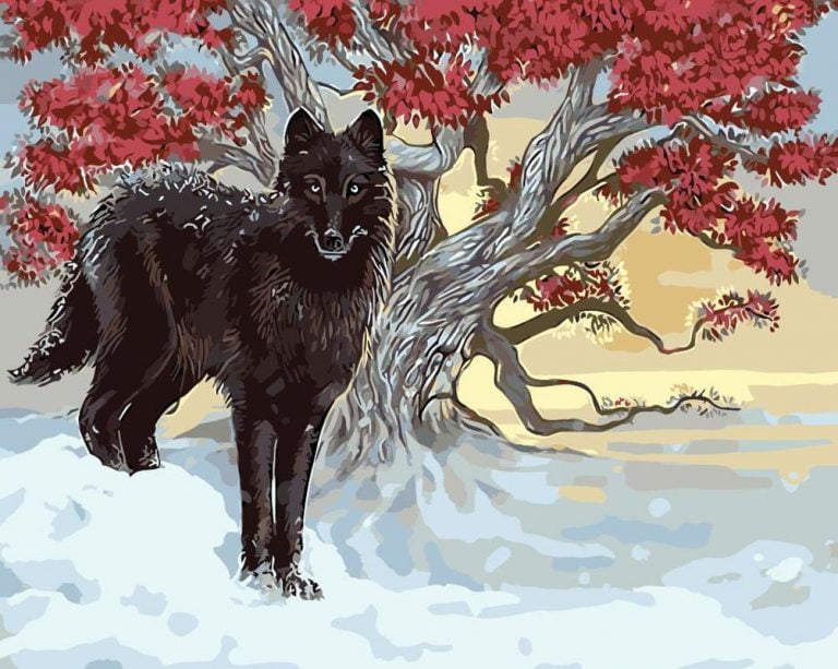 Black Wolf Paint By Numbers - Numeral Paint Kit