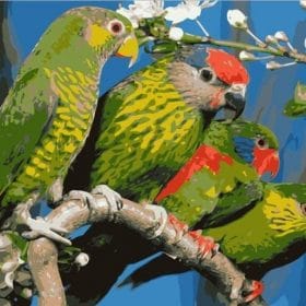 Green Poppy - Landscape Paint By Number - Numeral Paint