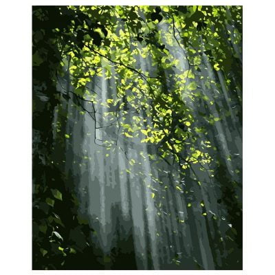Leaves of dense forest Landscape Paint By Numbers - Numeral Paint Kit