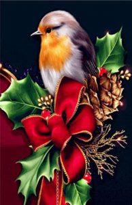 Christmas Robin Bird Paint By Numbers - Numeral Paint Kit