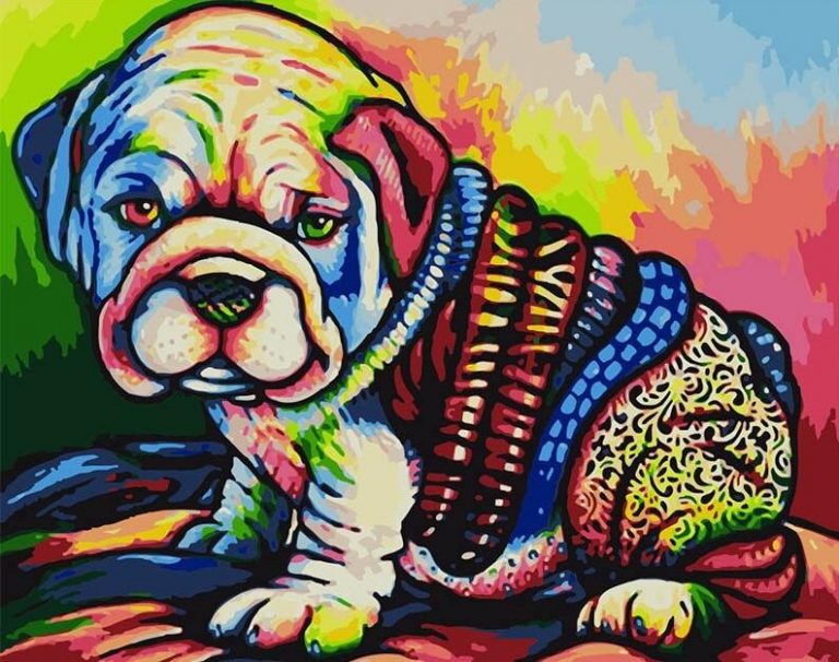 Colorful Bulldog Puppy Paint By Numbers - Numeral Paint Kit