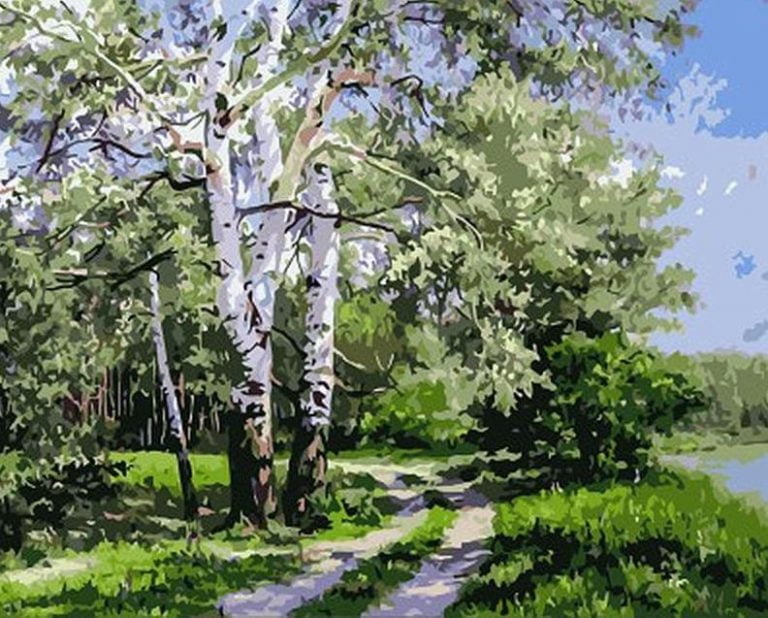 Birch Forest Paint By Numbers - Numeral Paint Kit
