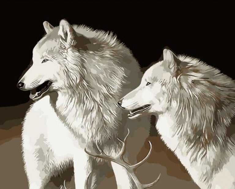 White Wolves Paint By Numbers - Numeral Paint Kit