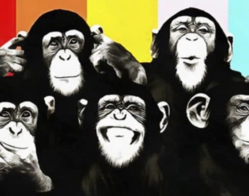 Funny Monkey Paint By Numbers - Numeral Paint Kit