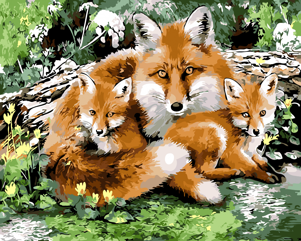 Wild Fox Family Paint By Numbers - Numeral Paint Kit