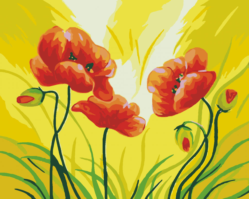 Poppies Flowers Paint By Numbers - Numeral Paint Kit