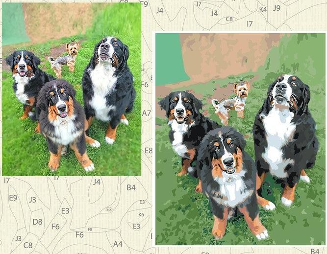 Photo To Paint By Numbers Numeral Paint Kit Photo To Paint By Numbers Numeral Paint Kit