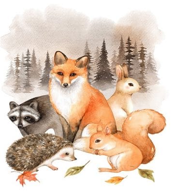 Fox And His Friends Paint By Numbers - Numeral Paint Kit