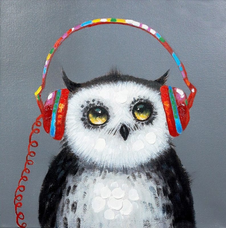 Owl Listening To Music Paint By Numbers - Numeral Paint Kit