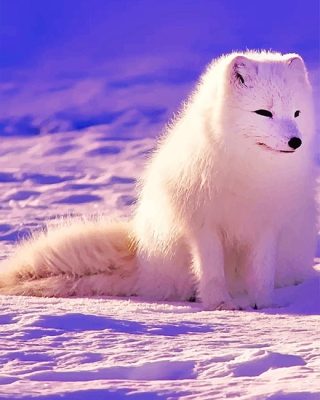 Snow Arctic Fox Paint By Numbers - Numeral Paint Kit