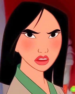 Angry Mulan Paint By Numbers - Numeral Paint Kit