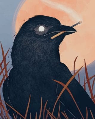 Common Raven Bird Paint By Numbers - Numeral Paint Kit