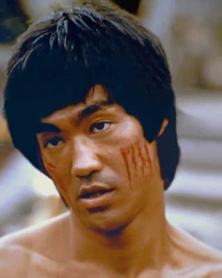 Bruce Lee Paint By Numbers - Numeral Paint Kit