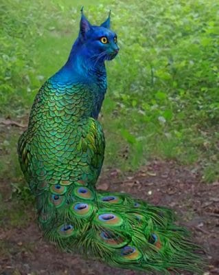Peacock Cat Paint By Numbers - Numeral Paint Kit
