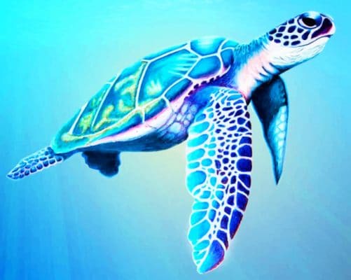 Sea Turtle Paint By Numbers - Numeral Paint Kit