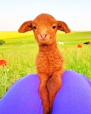 Brown Lamb Paint By Numbers - Numeral Paint Kit