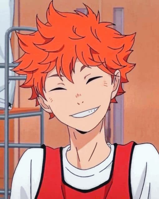 Hinata Shoyo Paint By Numbers - Numeral Paint Kit