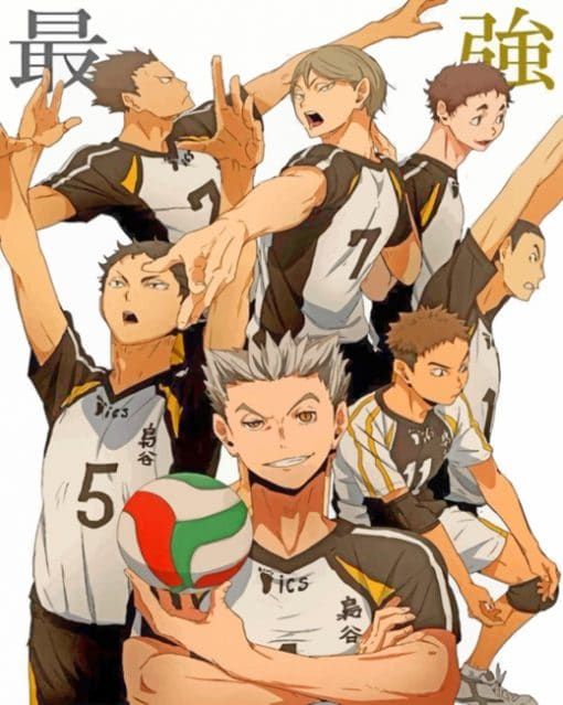 Fukurodani Team Animes Paint By Numbers - Numeral Paint Kit