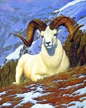 White Bighorn Sheep Paint By Numbers - Numeral Paint Kit