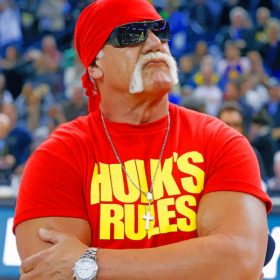 Cool Hulk Hogan Paint By Numbers - Numeral Paint Kit