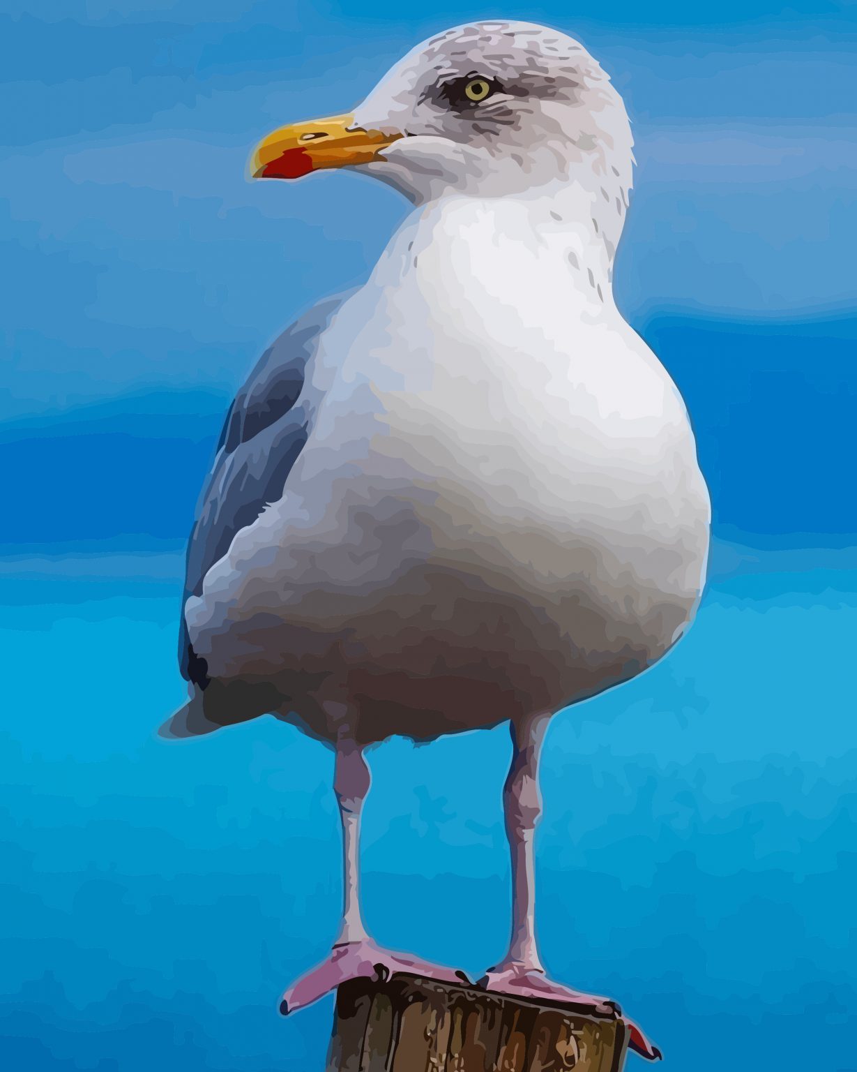 Aestehtic Seagull Bird Paint By Numbers - Numeral Paint Kit