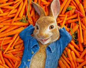 Peter Rabbit Paint By Numbers - Numeral Paint Kit