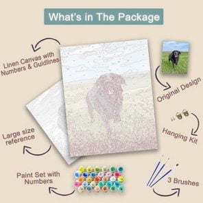 Custom Paint By Numbers - Numeral Paint Kit