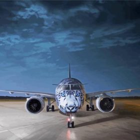 E190 Aircraft Paint By Numbers - Numeral Paint Kit