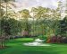Augusta National Golf Club Paint By Numbers - Numeral Paint Kit