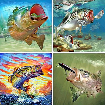 Bass Fish - Paint by numbers - Numeral Paint