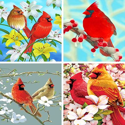red cardinals - Paint by numbers - Numeral Paint