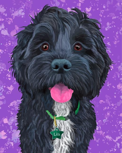 Cute Black Cockapoo Paint By Numbers - Numeral Paint Kit