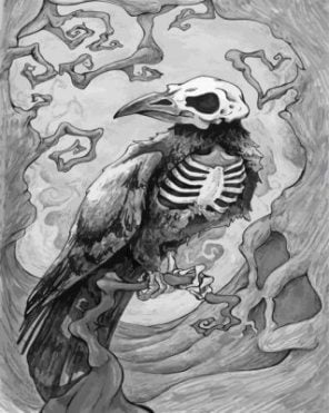 Raven Skull Paint By Numbers - Numeral Paint Kit